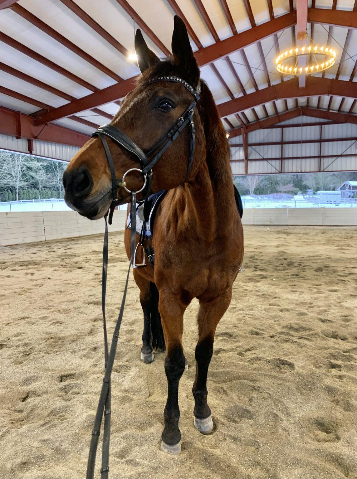 Riding Lessons – Overlake Farm – Horseback Riding Farm, Horse Boarding